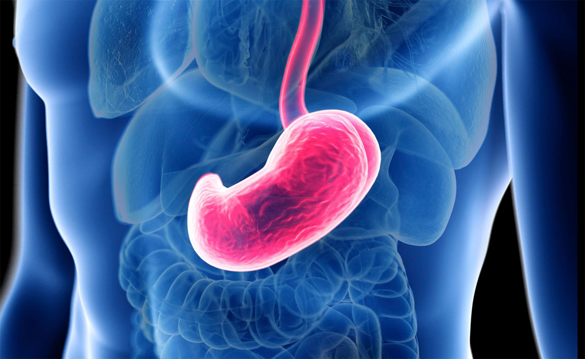 GASTRIC BOTOX - Medi Tour Turkei